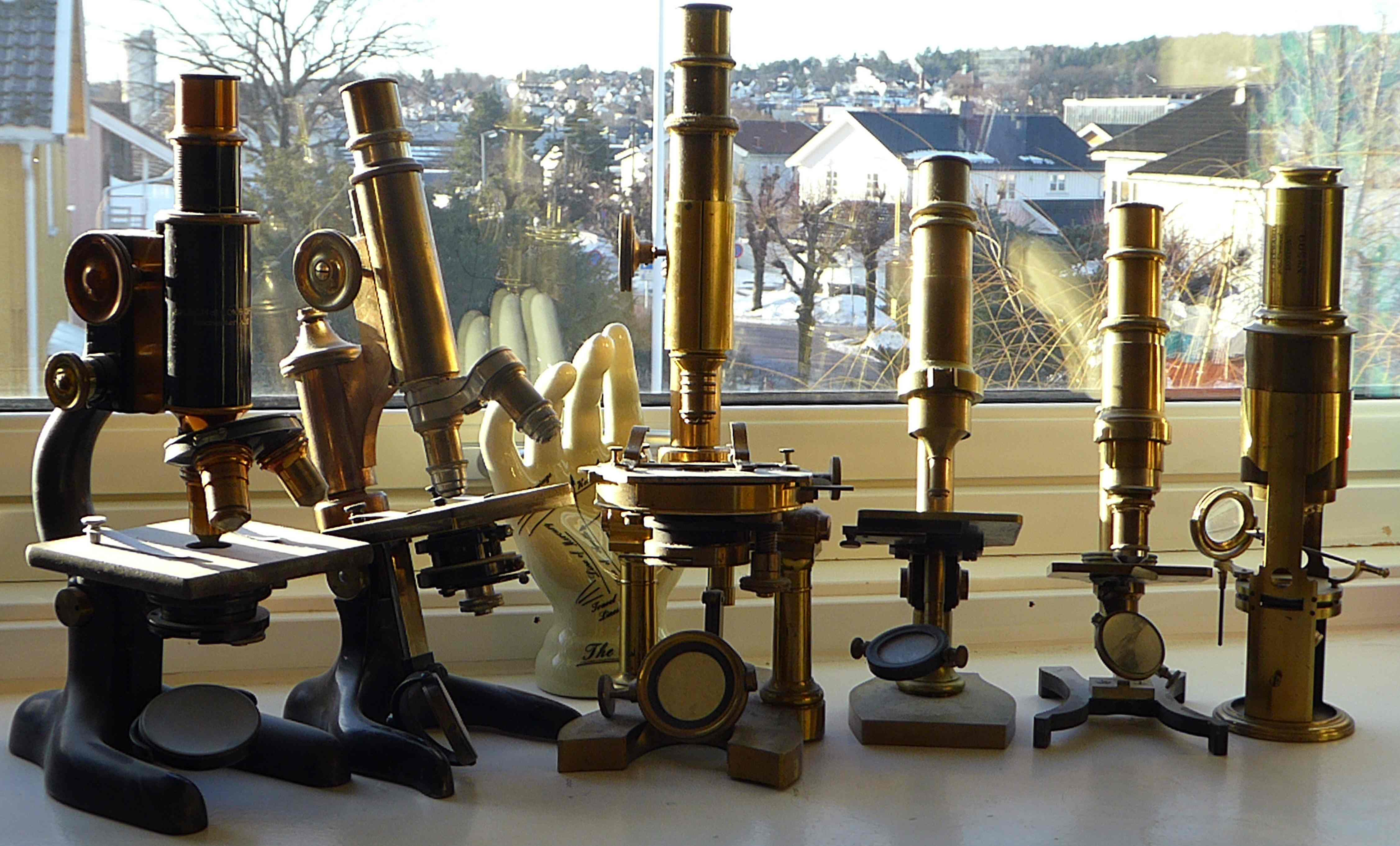 Patologi-senter medisin helse pathology Norway center blogg Birger ... Patologi-senter medisin helse pathology Norway center blogg Birger ...